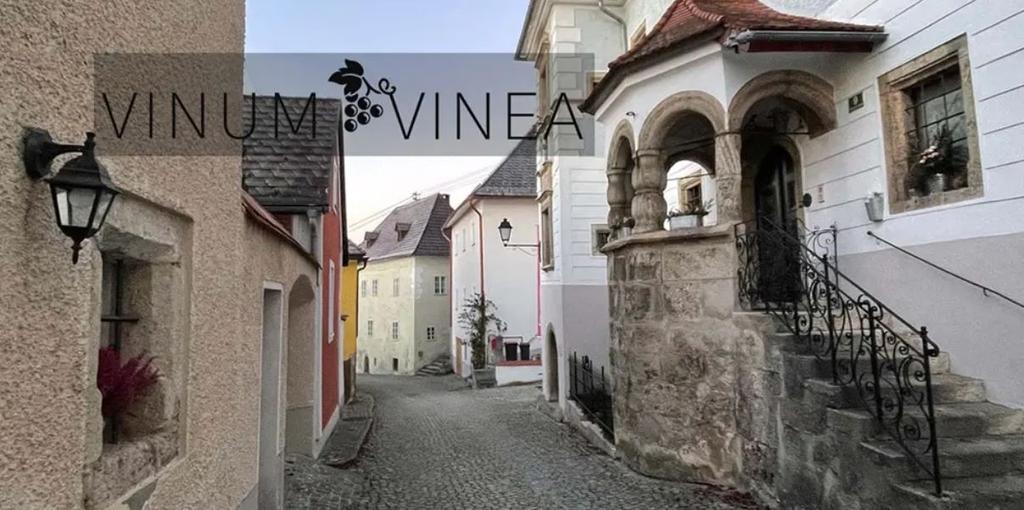 Vinum Vinea 2026