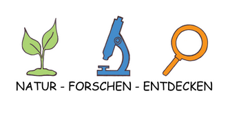 VHS Kurse 2026 im Impulscenter: Grundlagen der Mischkultur Teil 2