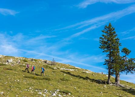 Dobratsch - Westanstieg