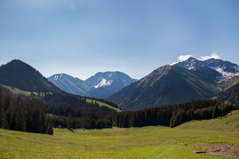 Berwang - Rundwanderung Almkopf